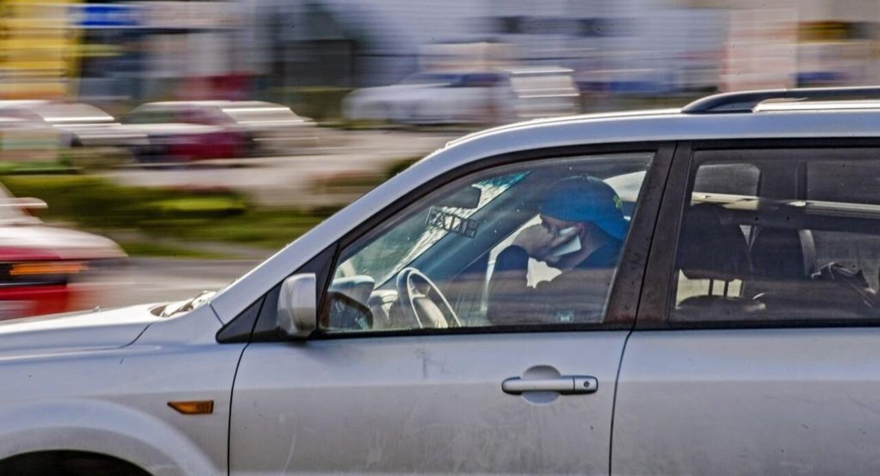 Study shows bugs in a car as dangerous as distracted driving ...