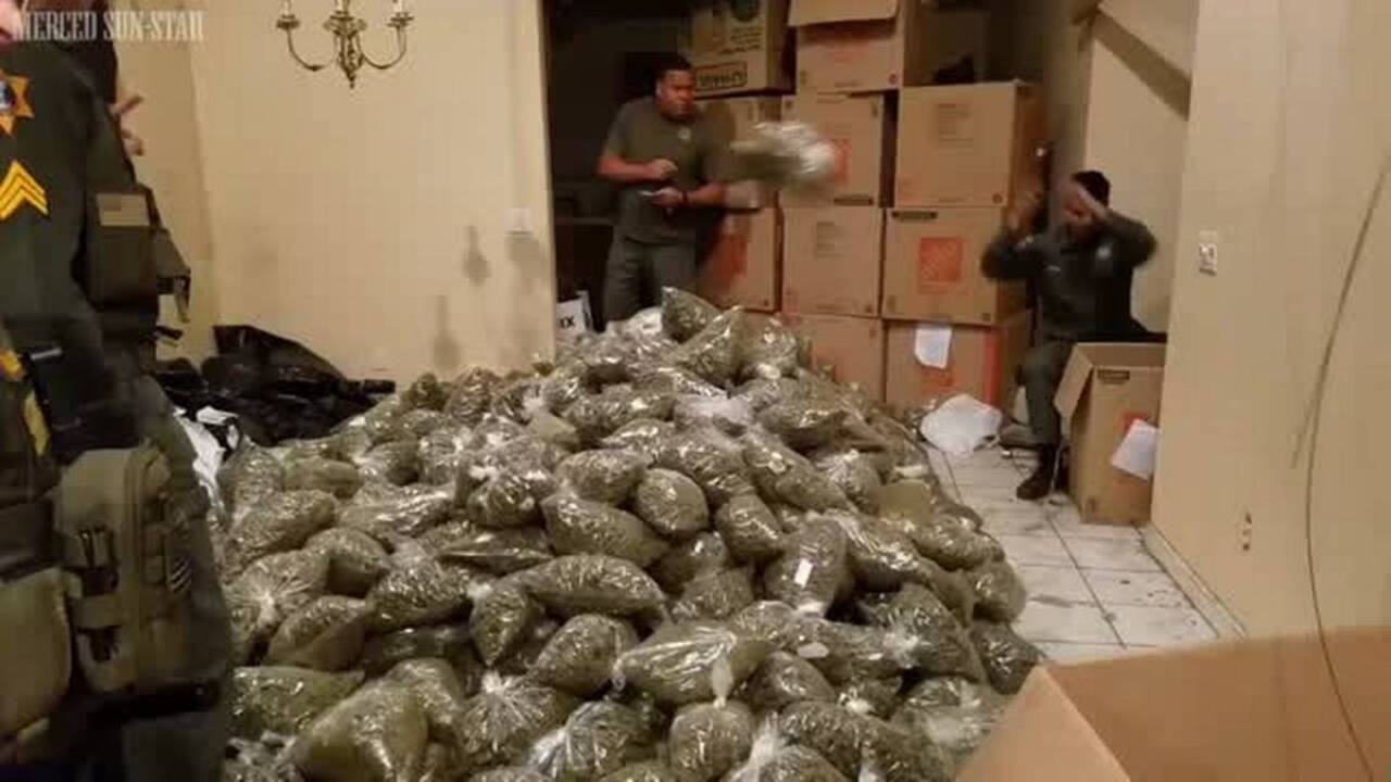 Watch how much packaged marijuana Merced County deputies uncovered ...
