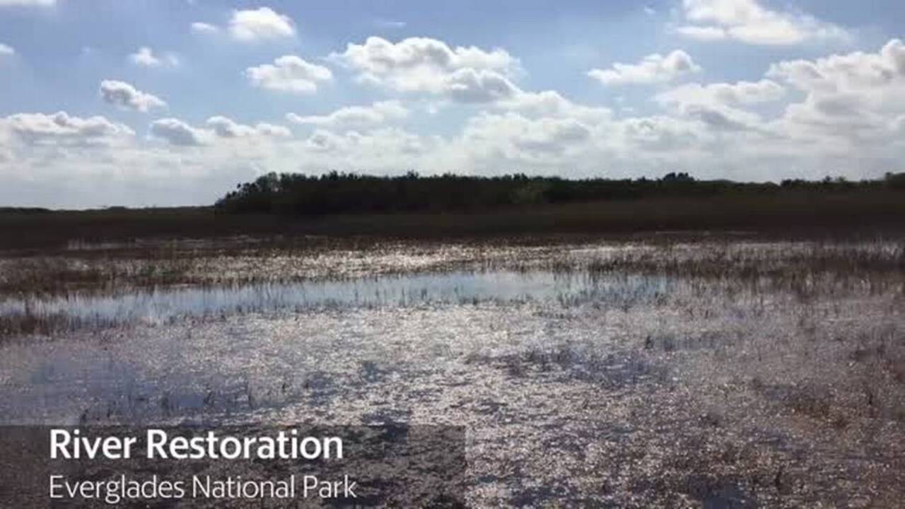 Everglades needs $7.4 billion for restoration through 2030 | Miami Herald