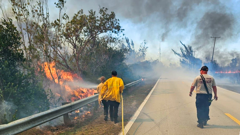Latest Florida Keys News & Local Updates | Miami Herald