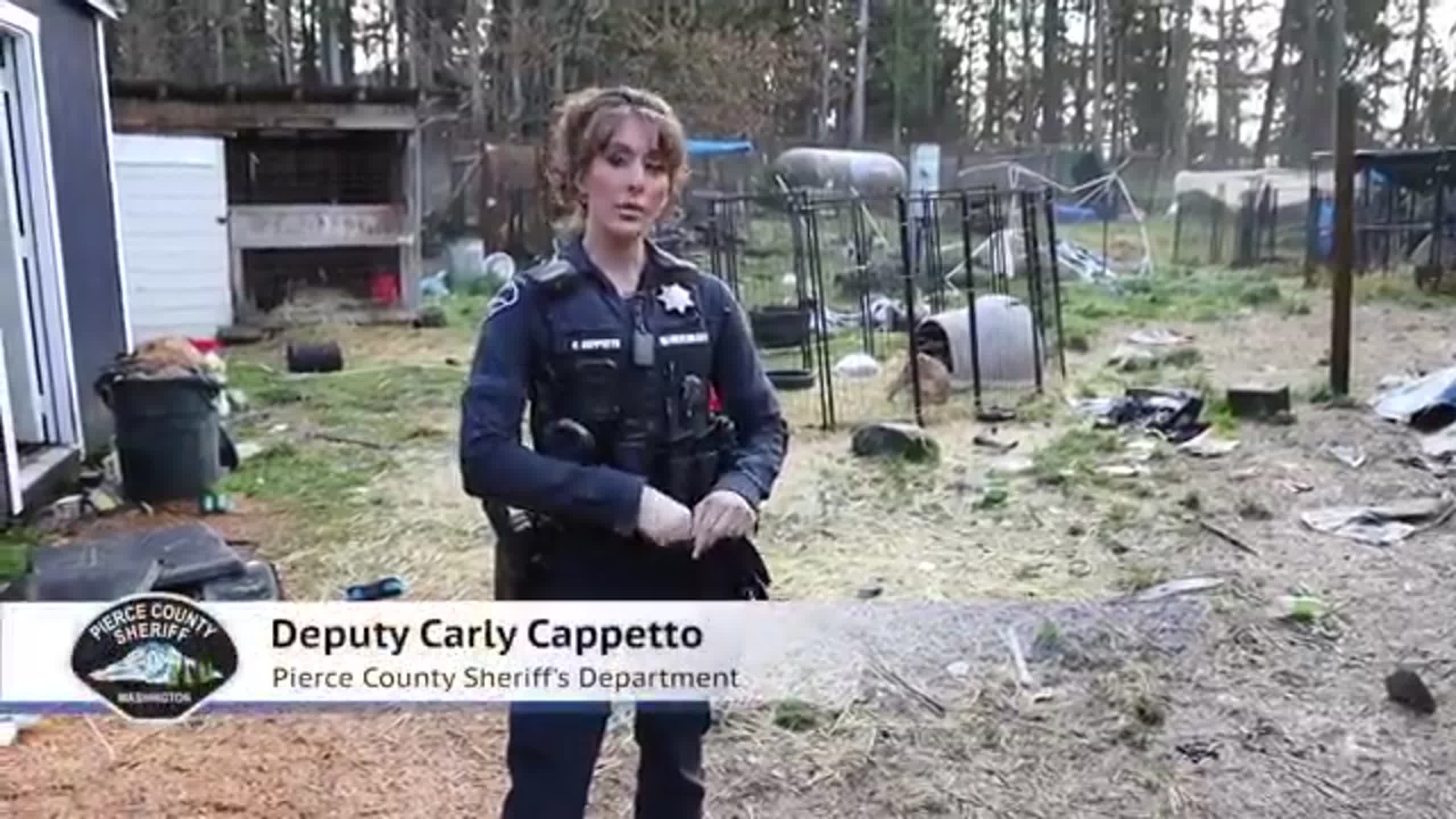 Pierce Co. sheriff’s deputies rescue 50 animals in Roy area | Tacoma News Tribune