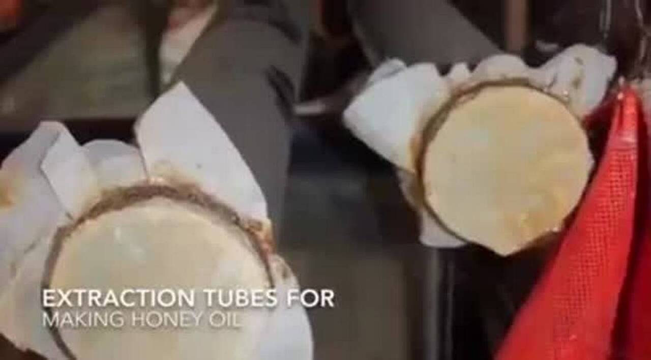 Sacramento County limits butane to prevent hash oil lab explosions ...