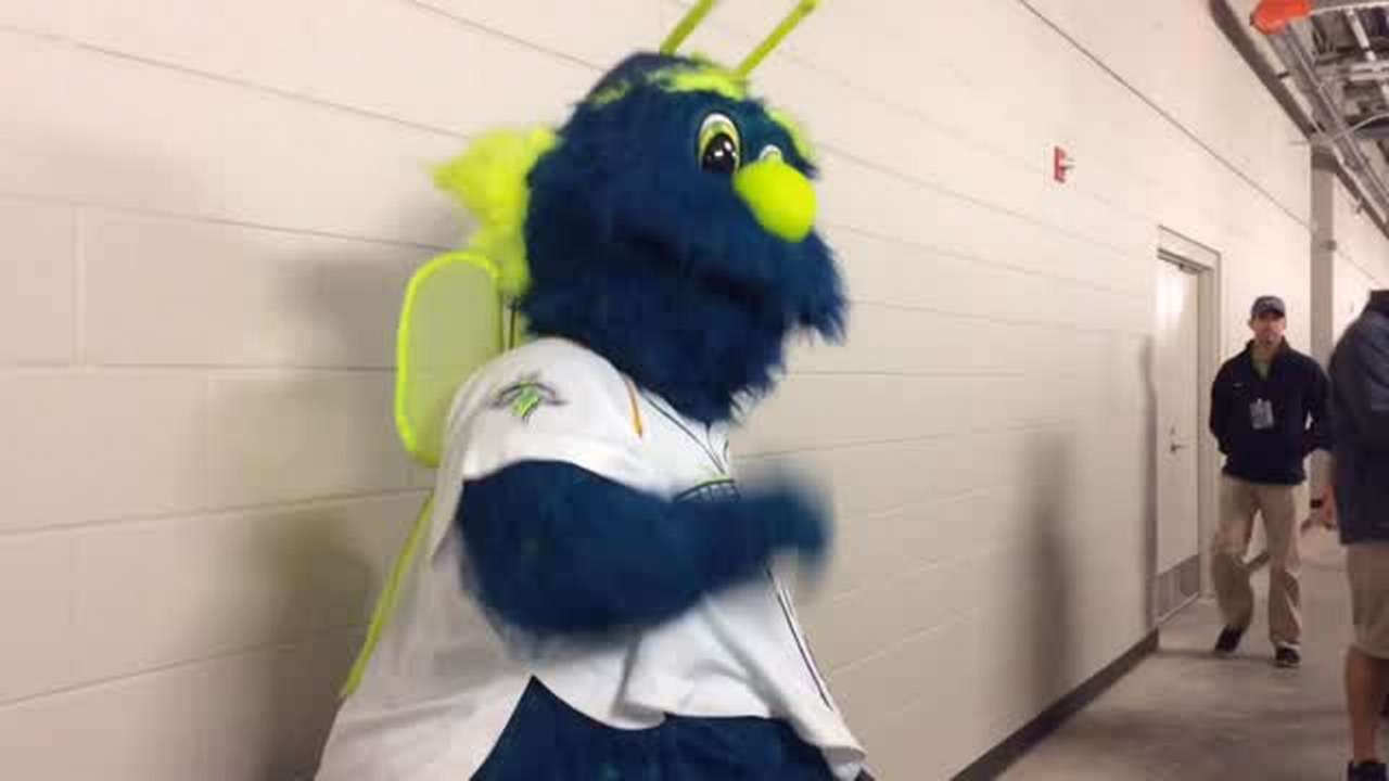 Fireflies mascot getting ready for work | The State