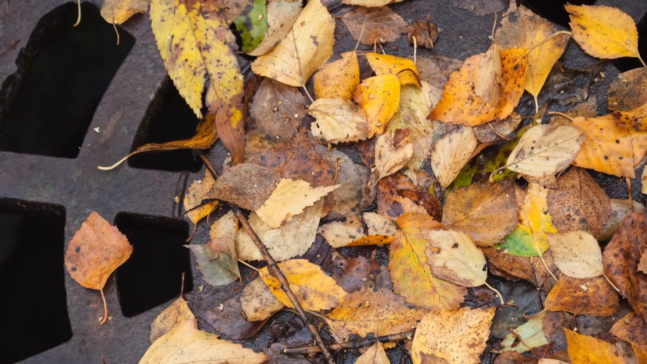 Outages, minor flooding in Whatcom from fall’s first storm | Bellingham ...