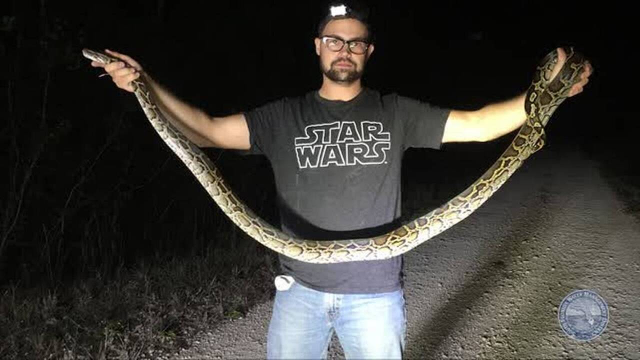 December 2017 python elimination program update | Kansas City Star