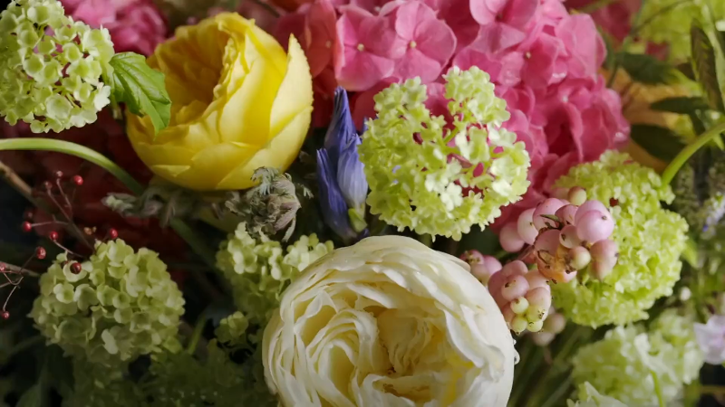 Local News | The Olympian