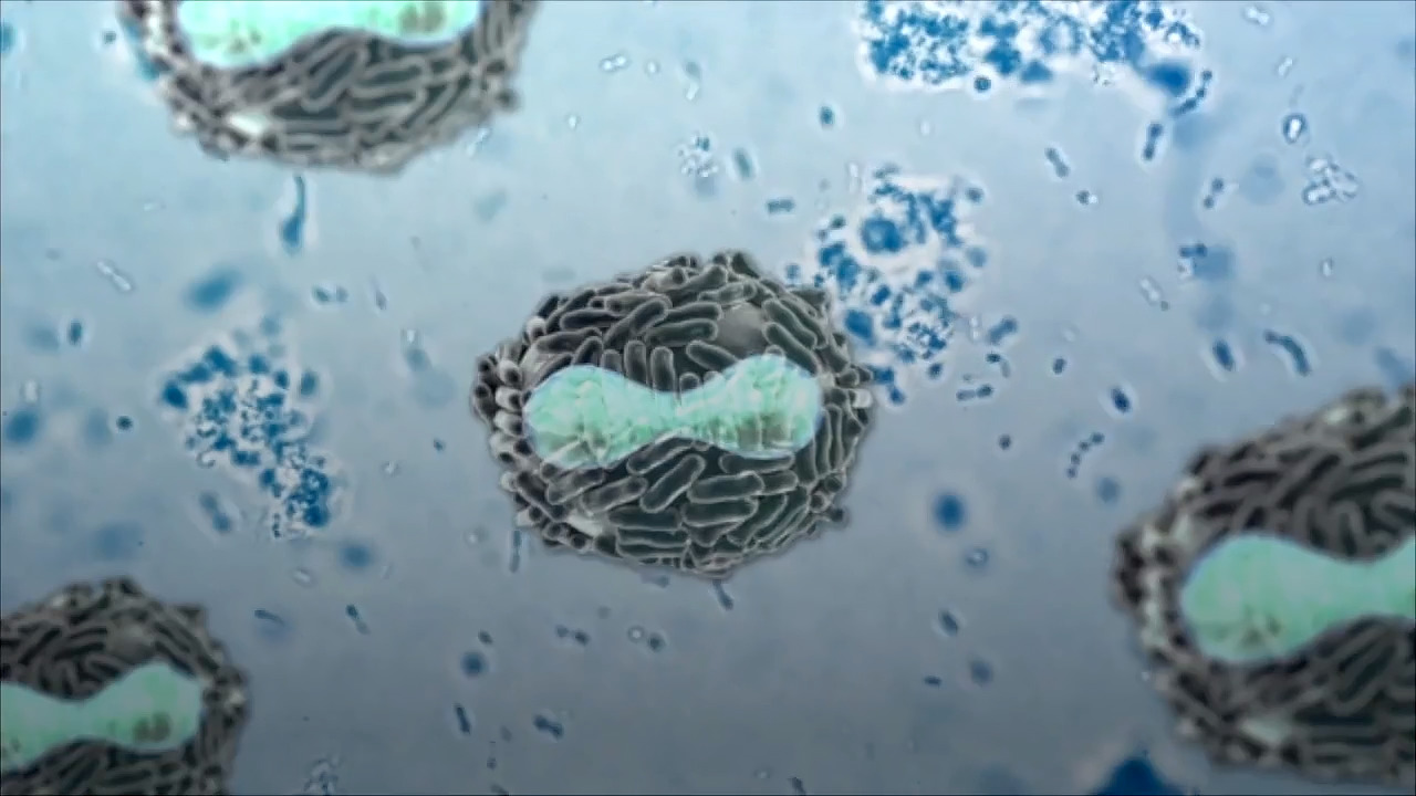 What you need to know about polio vaccines and boosters | Charlotte ...