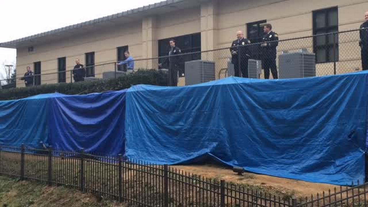 New Garner PD mural unveiled | Raleigh News & Observer