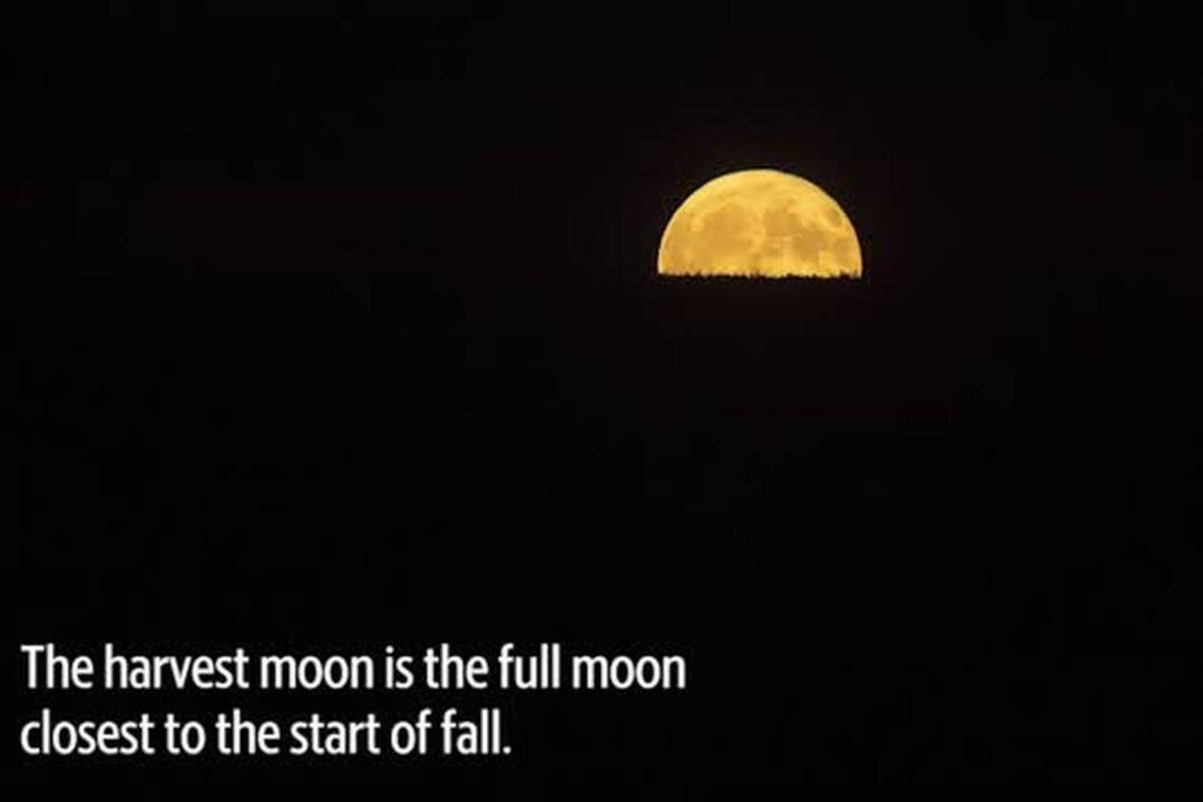 Things to know about the harvest moon | Bellingham Herald