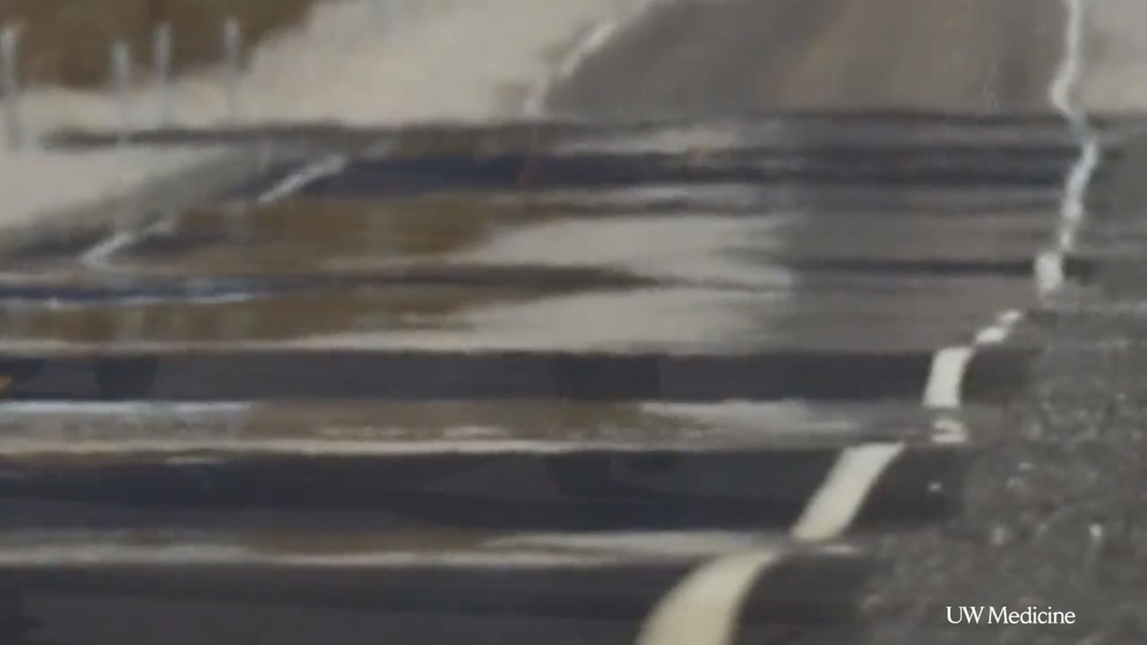 Scorching asphalt, concrete not suitable for feet or paws | Tri-City Herald