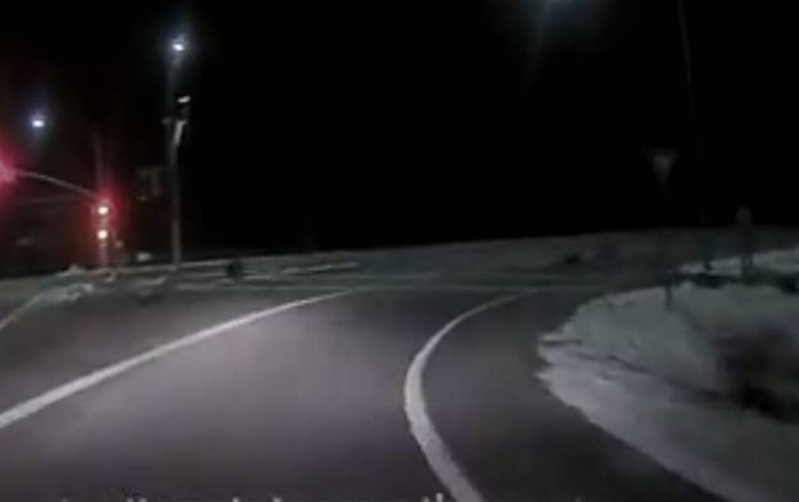 Limping bear, chased by coyotes, gets help from Placer deputy ...