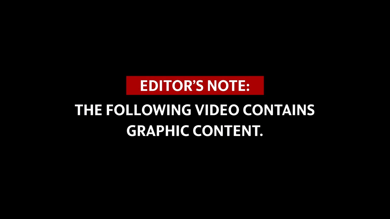 Man punting cat on video | Kansas City Star