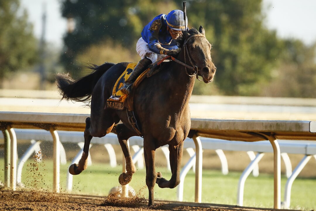 Maxfield earns spot in horse racing's Breeders' Cup Juvenile ...