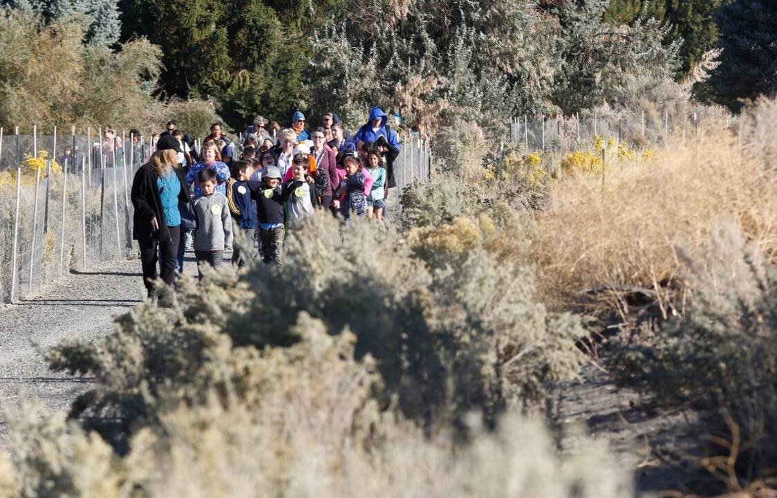 Amon Creek Natural Preserve field trip | Belleville News-Democrat