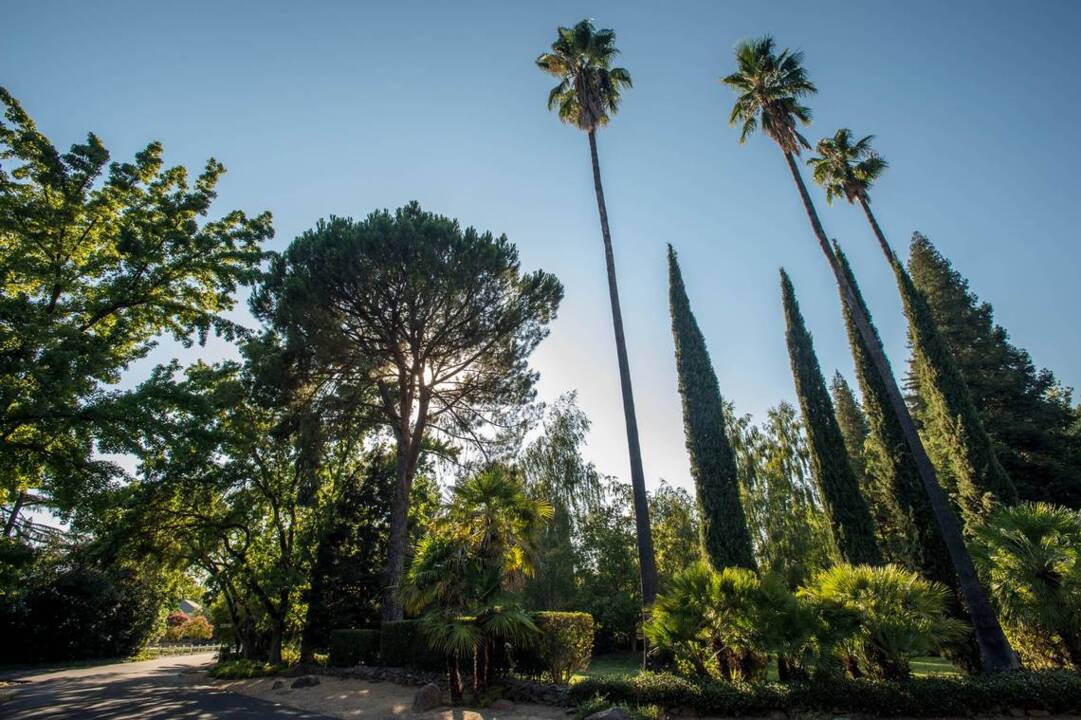 Take a stroll through Arden Arcade, a Sacramento neighborhood ...