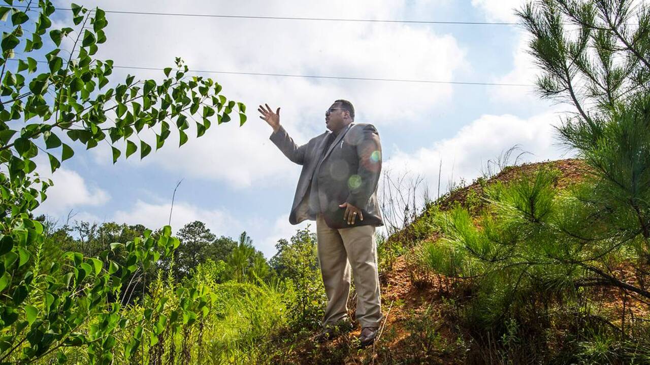 Video: Al Tillman gives a preview of Filmore Thomas Park on Log Cabin ...