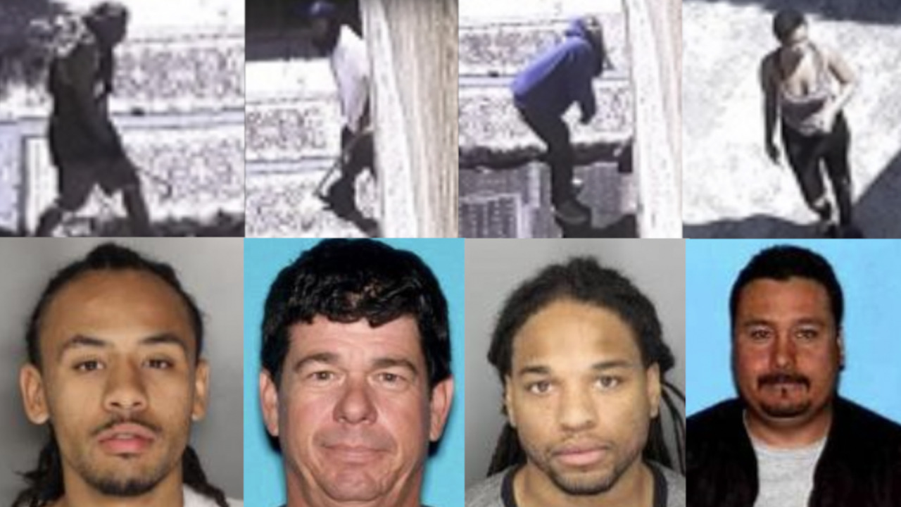We've got some unknown suspects: Sacramento's Most Wanted for the week ...