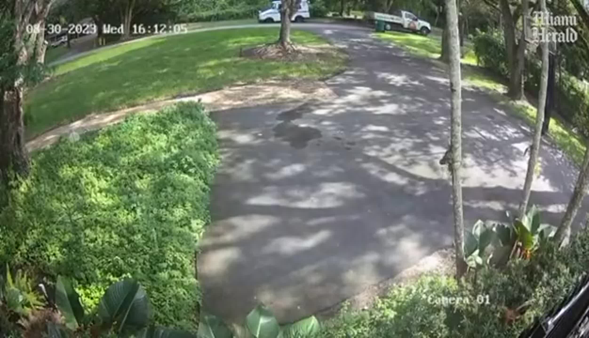 Video: Sergio Pino’s wife pursued truck after hit-and-run | Miami Herald