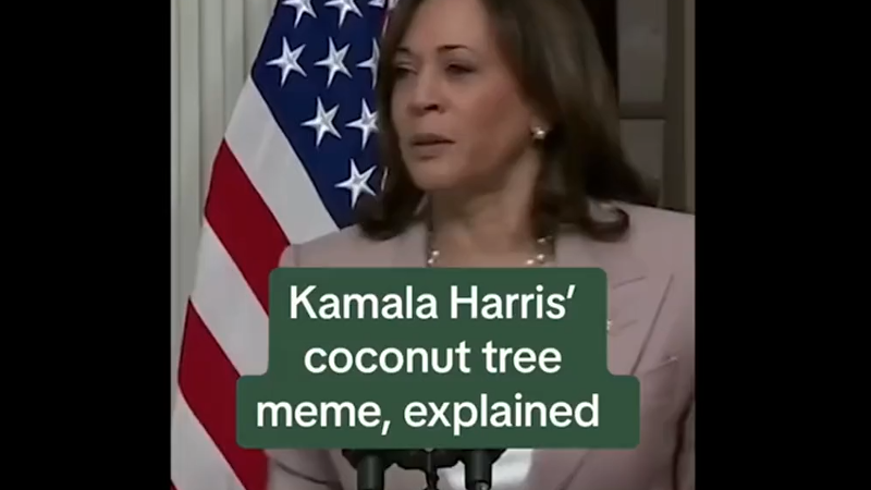 Kamala Harris’ coconut tree meme, explained | Miami Herald