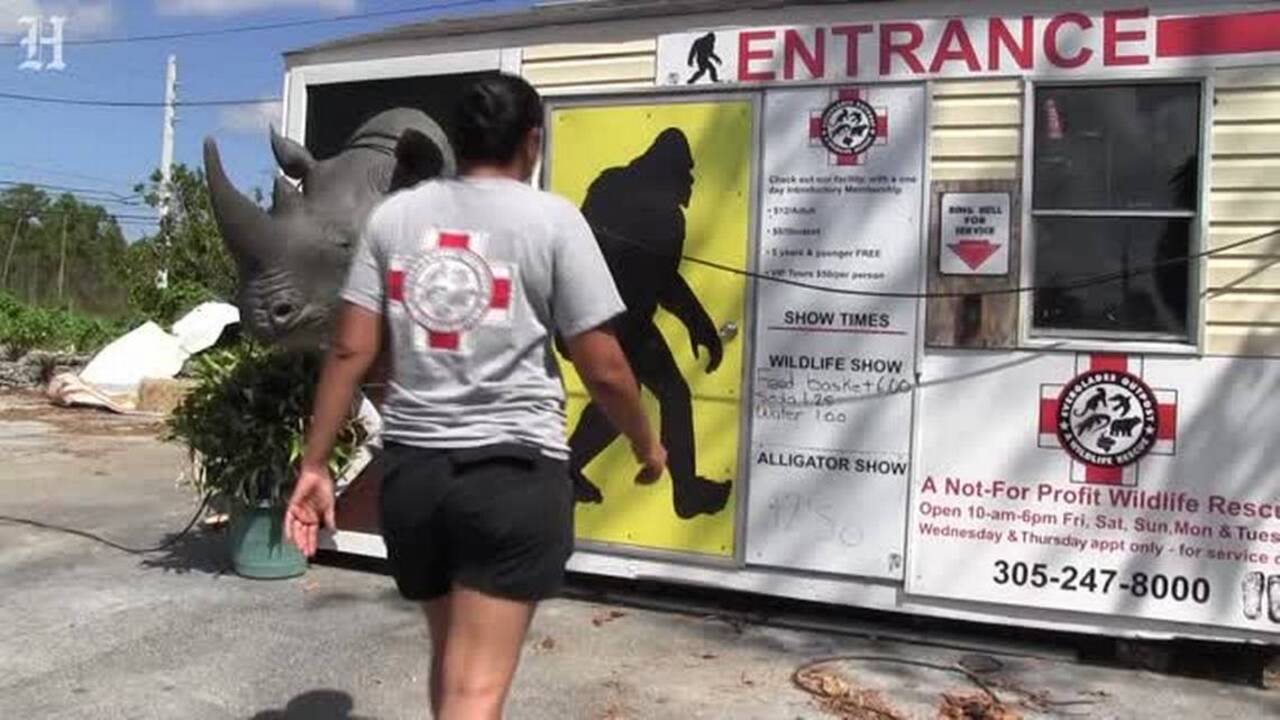 Animal rescue at Everglades Outpost Wildlife Rescue | Hilton Head ...