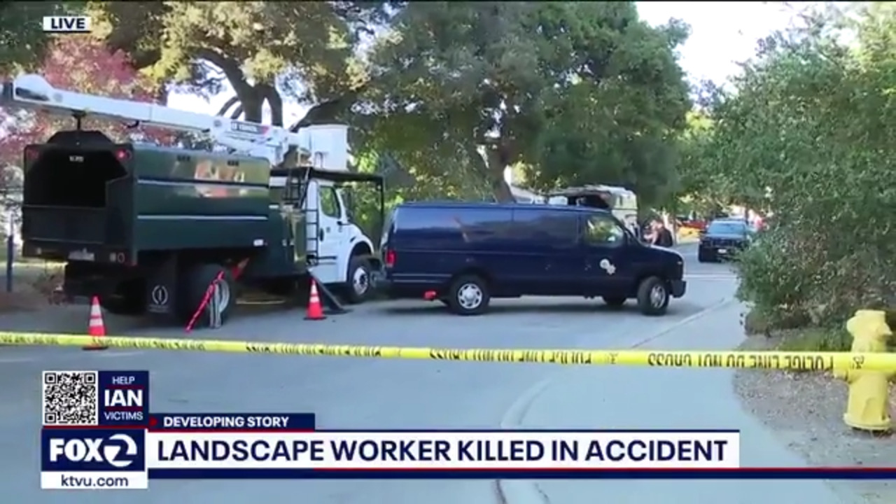 Landscape worker killed in tree trimming accident | Sacramento Bee