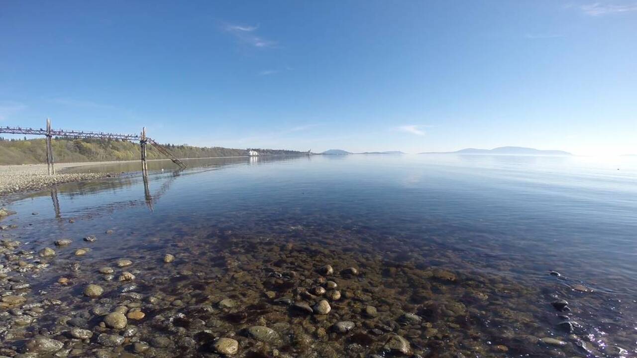 5 things to know: The proposed Gateway Pacific Terminal | Bellingham Herald