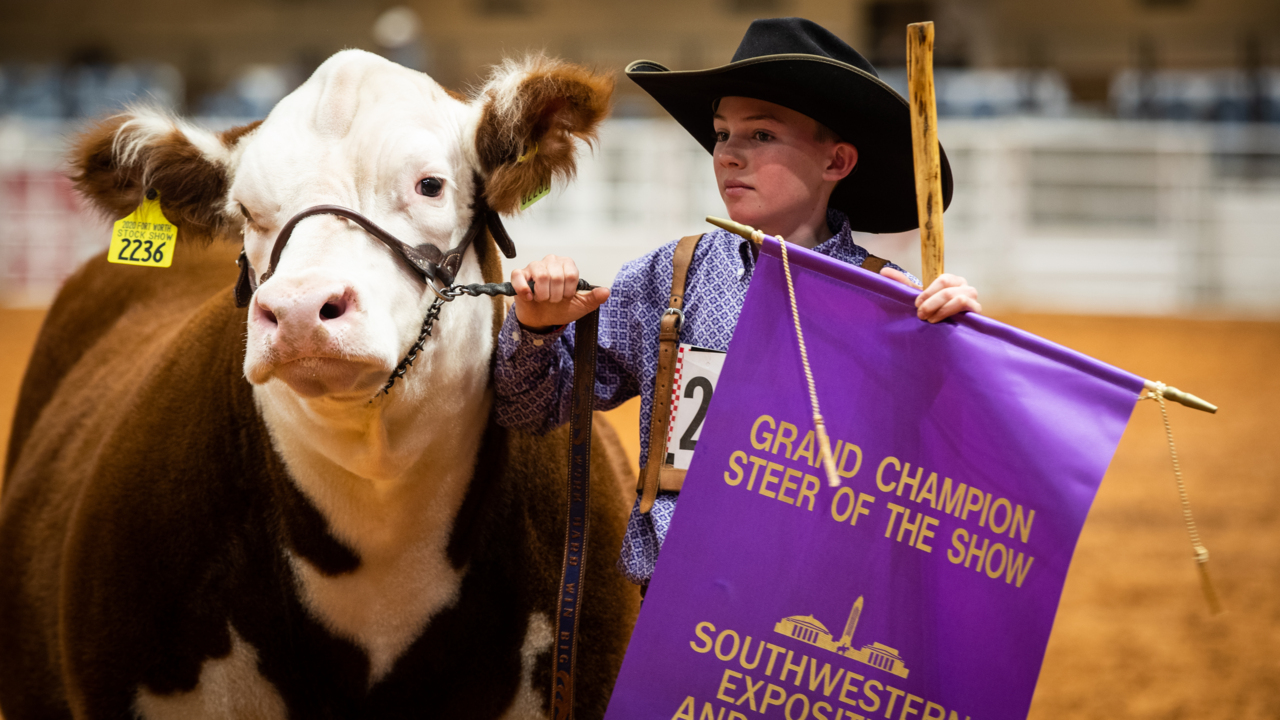 Grand Steer Champion named for the 2020 Fort Worth Stock Show and Rodeo ...
