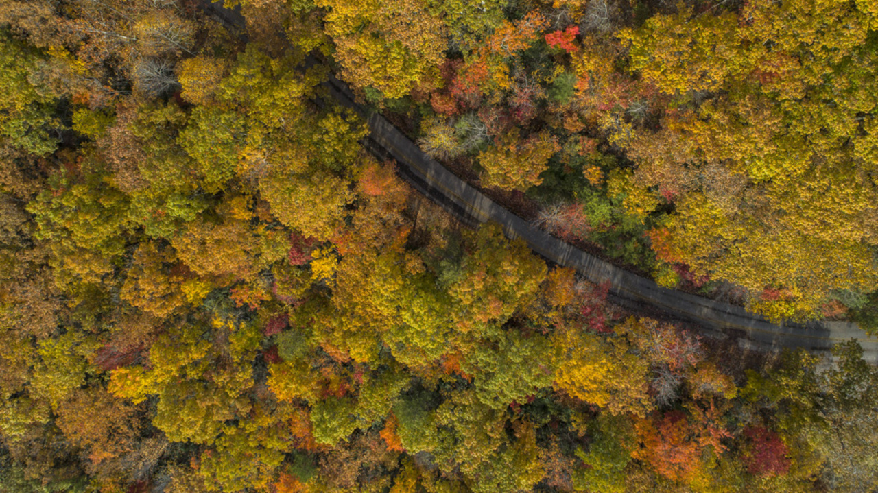 Fall leaves: Autumn colors on display in Eastern Kentucky | Lexington ...