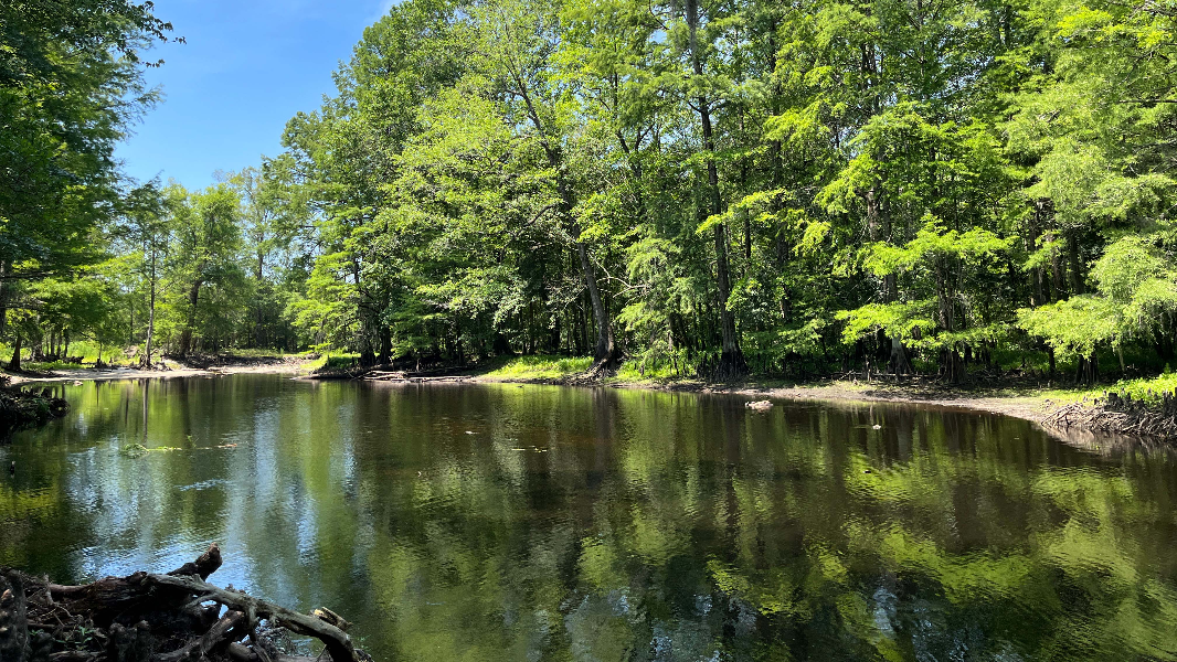 Mallard Creek restoration project (Video) | Charlotte Observer