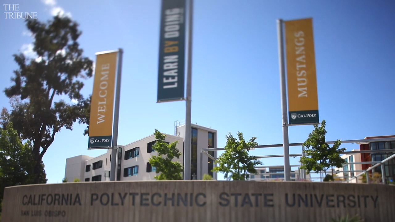 What GPA do you need to get into Cal Poly? Here is the answer. | San ...