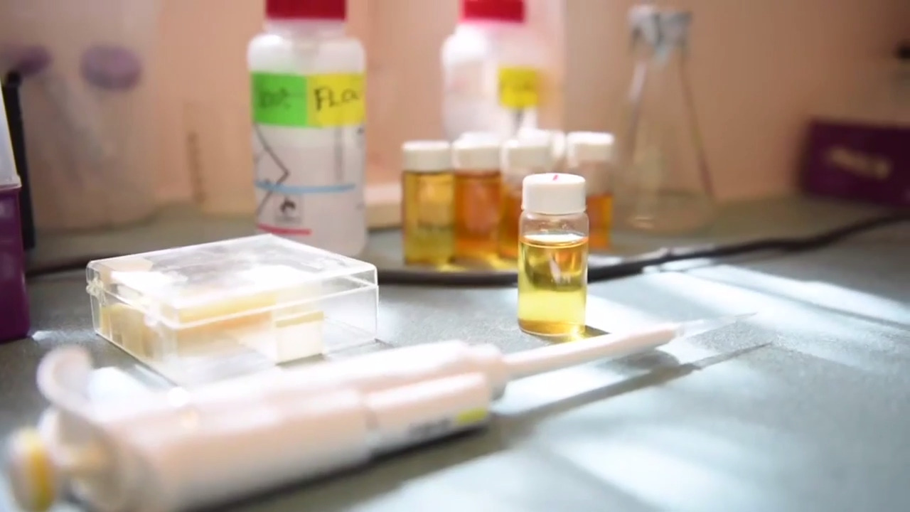 How it works: red tide testing | Charlotte Observer