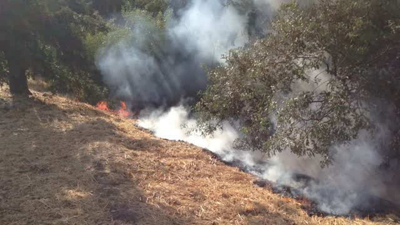 Grass fire at Scenic and Coffee in Modesto | Modesto Bee