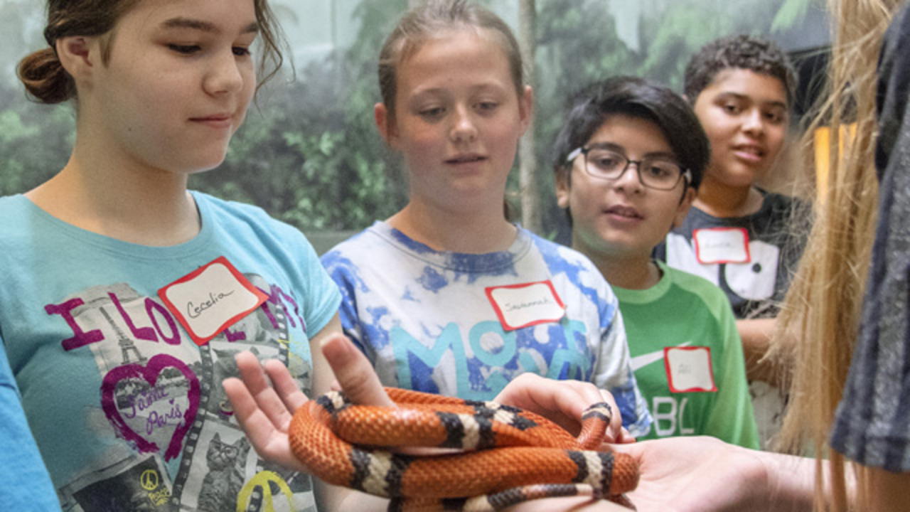 Macon museum holds mini-zoo workshop | Macon Telegraph
