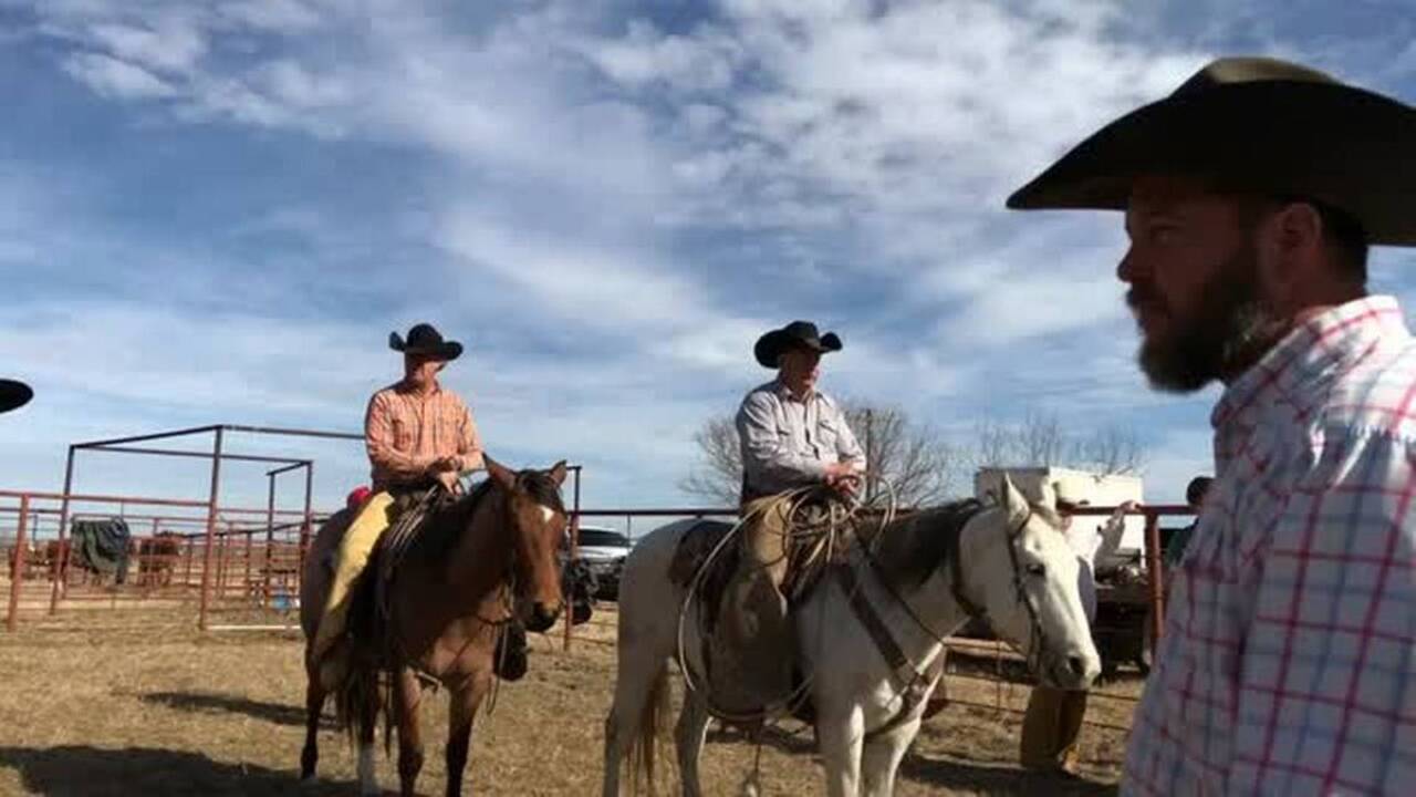 Bonds Ranch brands cattle | Fort Worth Star-Telegram