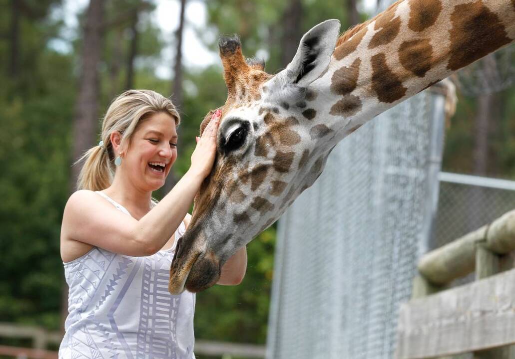 Getting close to the animals at Aloha Safari Zoo | Raleigh News & Observer