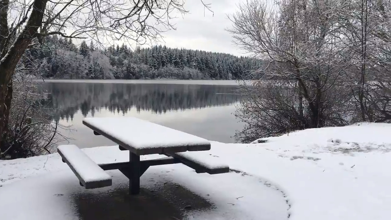 Here's what snow and ice looked like in Bellingham | Bellingham Herald