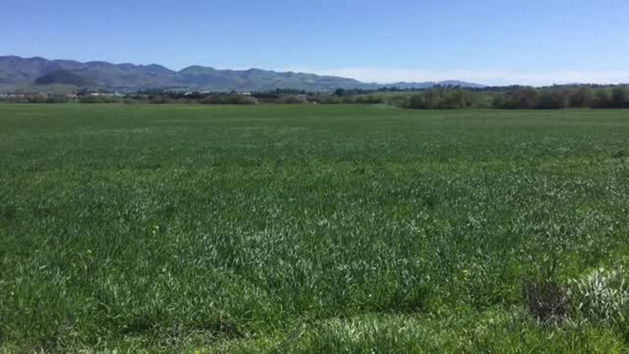 A look at Avila Ranch in San Luis Obispo | San Luis Obispo Tribune