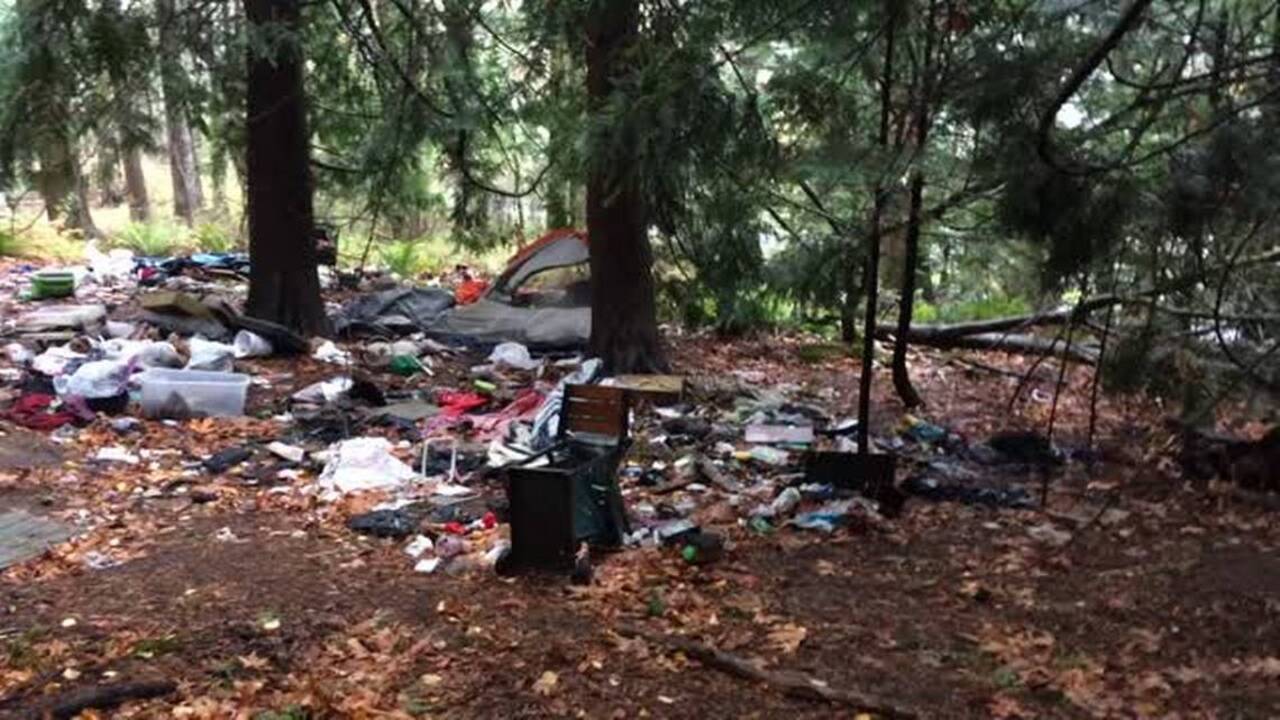 Bellingham Police clean up homeless camp on Sehome Hill | Bellingham Herald