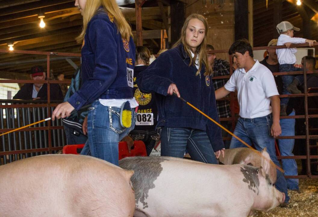 A girl and a 223-pound pig form a special bond | Centre Daily Times