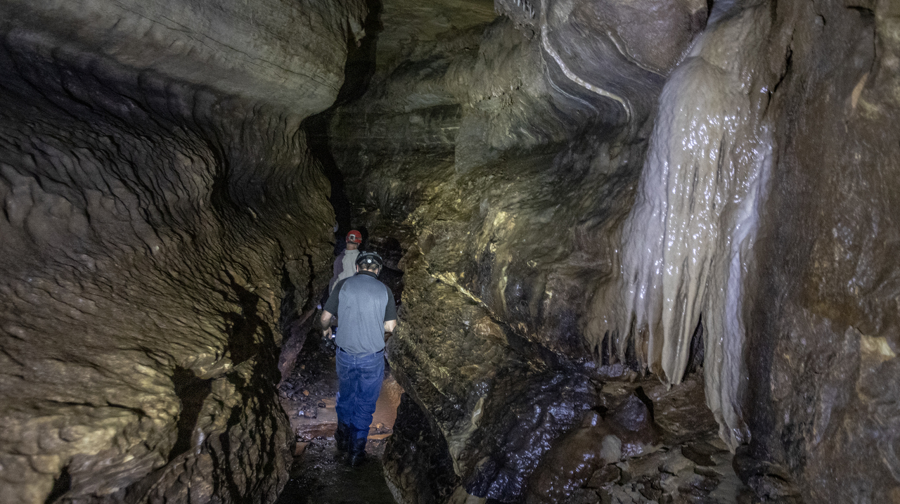 Illinois Caverns reopens to cave exploration adventure | Belleville ...