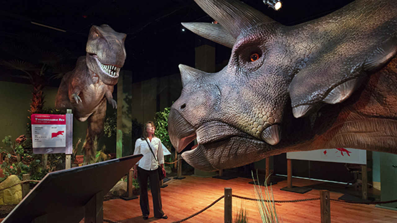 Dinosaur exhibit to reopen Thursday at Union Station | Kansas City Star