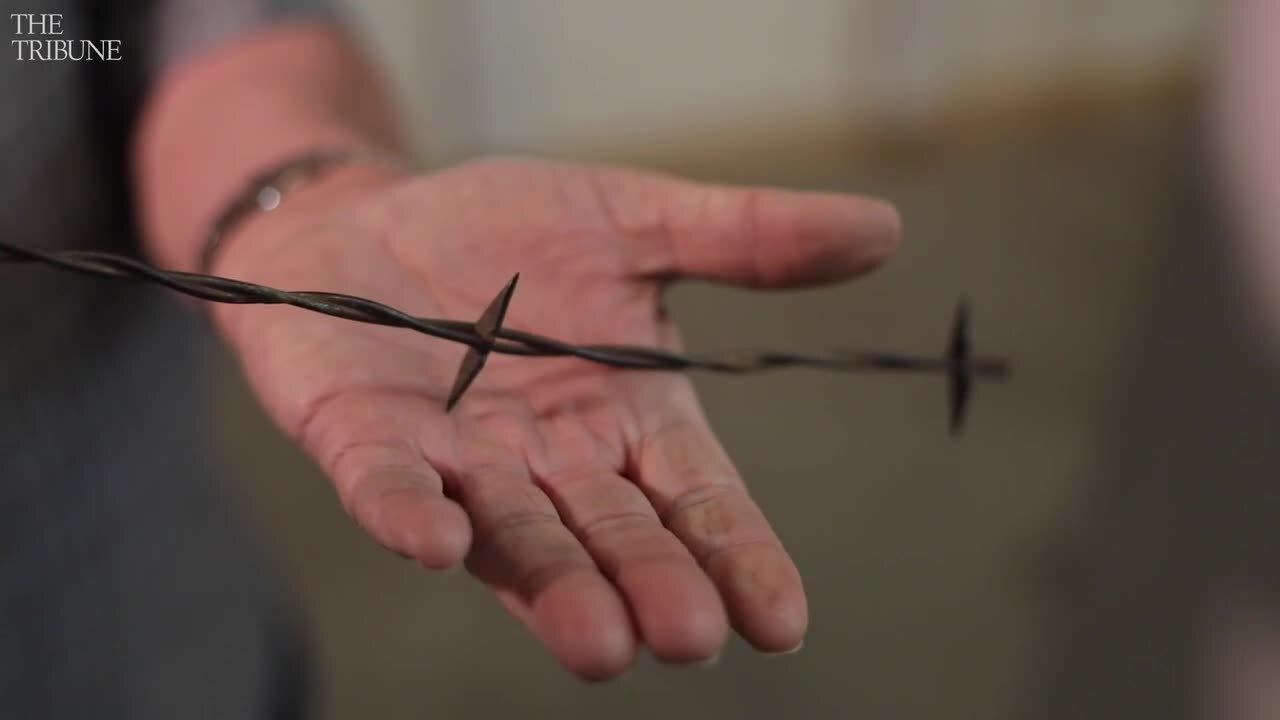 Paso Robles, CA | Large barbed wire collection kept in museum | San ...