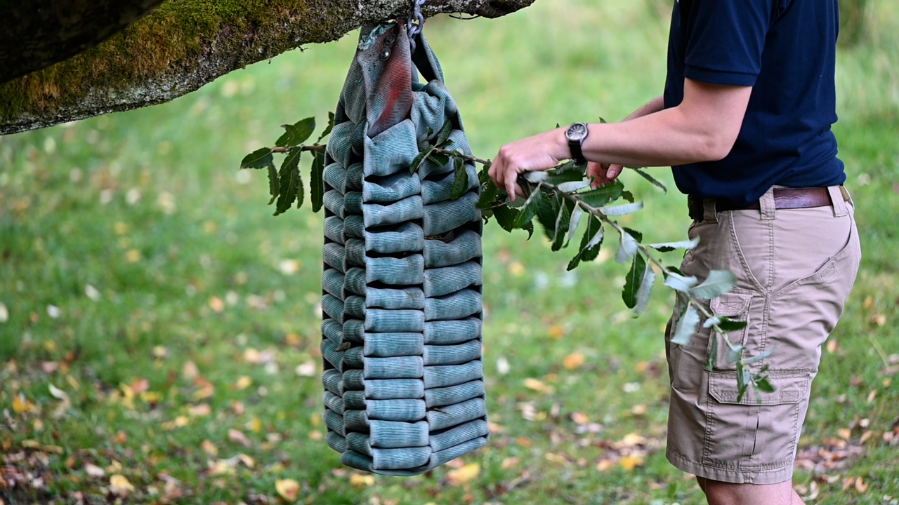 Point Defiance zoo turns expired fire hoses into toys for the animals ...