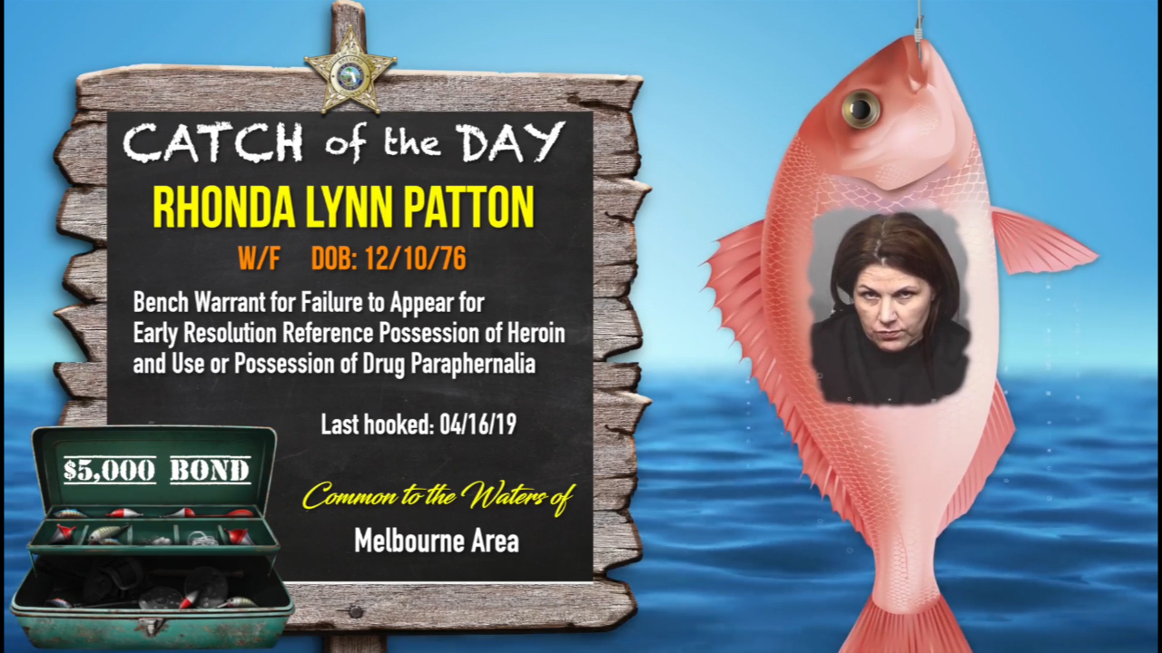 Brevard deputies arrest “Fishing for Fugitive” subject Rhonda Patton ...