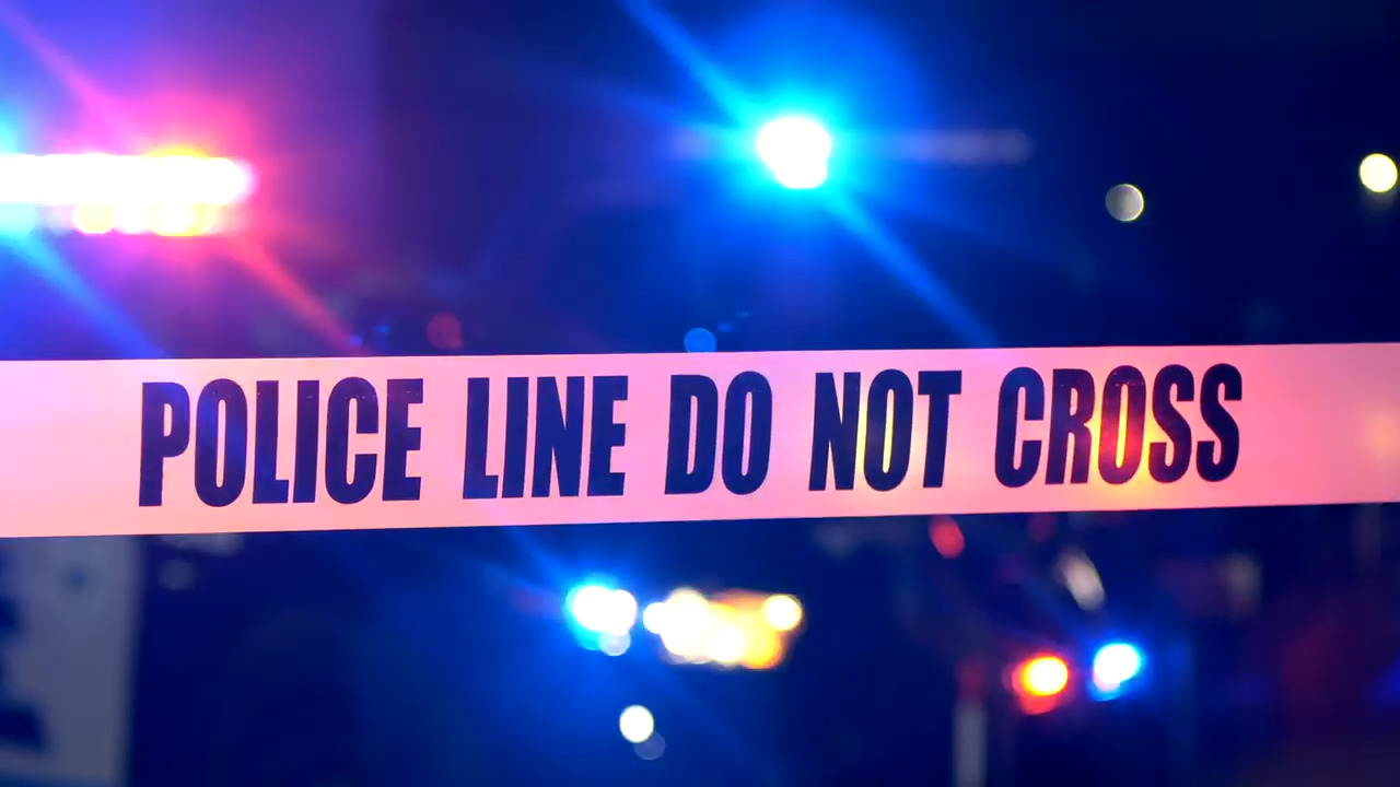 Fraud, vehicle theft drive increase in Whatcom’s 2020 crime ...