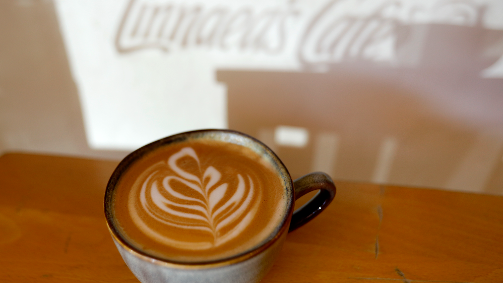 Linnaea’s Cafe in SLO: 41 years of coffee and community | San Luis ...