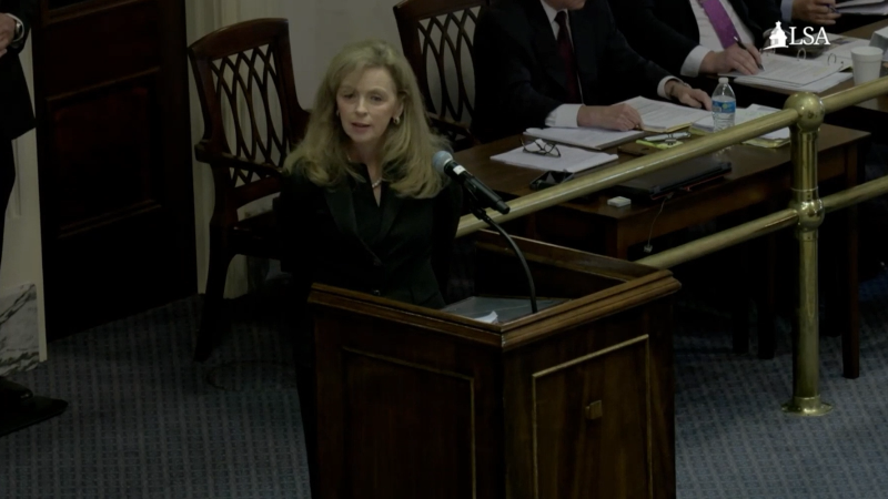 Lawyer Deborah Barbier defends Treasurer Loftis at Senate hearing | The ...