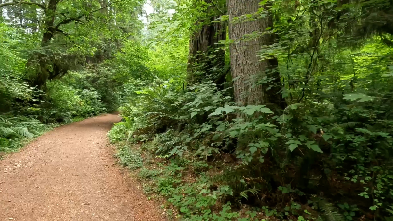 Discover Pass price increases for Washington state parks (Video ...