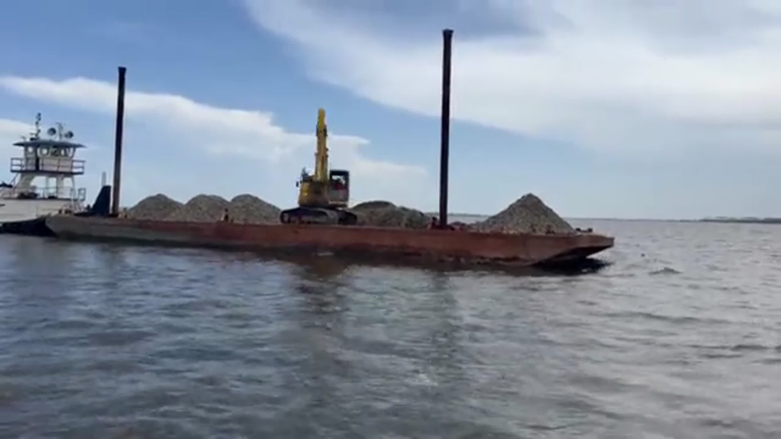 Researchers release 125 million oyster larvae into the Gulf (Video ...