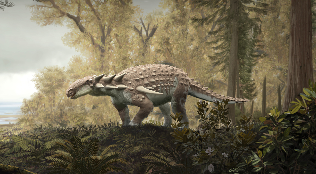 Dinosaur native to Kansas goes on display at KU | The State